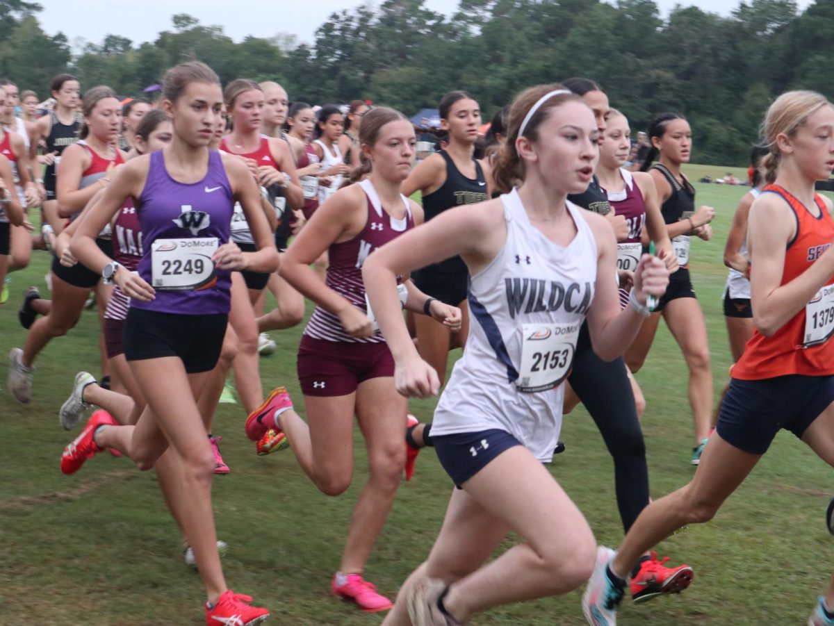 Cross country runs district meet today – The Voice of the Wildkats